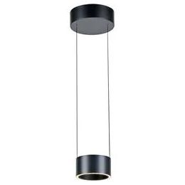NEUHAUS PURE LED Pendelleuchte "PURE Clipse", mystic grau, 2, &Oslash; 15cm H: 40cm, 1 Stk., Leuchten, Comfort Lift, CCT, dimmbar &uuml;ber Fernbedienung, LED Pendelleuchte