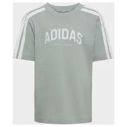 Trainingsanzug Adidas SPORTSWEAR "Adidas COLLEGIATE KIDS SET", Jungen, Gr. 122, wonder sage, Obermaterial: 100% Baumwolle. Obermaterial Hose: 100% Polyester, Sportanz&uuml;ge Trainingsanzug