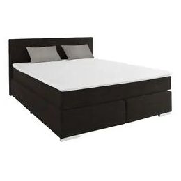 Boxspringbett COTTA "Simba", braun, L:209cm, Komplettbetten, Boxspringbett, wahlweise mit oder ohne Matratze und Topper bestellbar, Topseller
