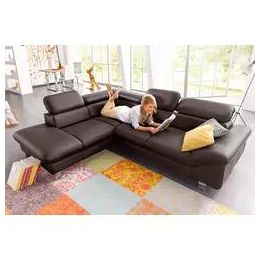 Ecksofa COTTA "Driver L-Form", braun, B:268cm H:73cm T:214cm, Kunstleder SOFTLUX;LEDER BEEFY (ein abgedecktes Spalt-Rindsleder) im Sitz und R&uuml;cken (Korpus in Kunstleder);Luxus-Kunstleder;Leder Pampas (echtes Rindsleder) im Sitz und R&uuml;cken (R&uuml;ckseite mit Spannstoff bezogen), Sofas, Ecksofa, mit Kopfteilverstellung, wahlweise mit Bettfunktion & Bettkasten