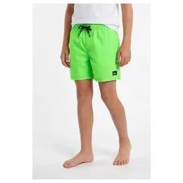 Badeshorts Quiksilver "EVERYDAY VOLLEY YTH 14", Kinder, Gr. 12 (146/152), N-Gr, gr&uuml;n (gr&uuml;n gecko), Web, Baumwolle, Polyester, unifarben, Badehosen Badeshorts, f&uuml;r Kinder und Jugendliche, bequeme Passform