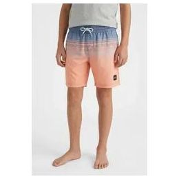 O`Neill Badeshorts O'NEILL "O'NEILL LOGO STRIPE SWIMSHORTS", Jungen, Gr. 152 (146), N-Gr, boys lila, Obermaterial: 100% Polyester. Futter: 100% Polyester, Badehosen Badeshorts, mit Eingrifftaschen, mit Innenhose aus Mesh, mit Hyperdry-Finish