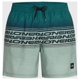 O`Neill Badeshorts O'NEILL "O'NEILL LOGO STRIPE 16'' SWIMSHORTS", Gr. M (50), N-Gr, gr&uuml;n heritage, Obermaterial: 100% Polyester, Badehosen Badeshorts, mit Seiten- und Ges&auml;&szlig;taschen, mit Innenhose aus Mesh