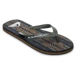 Zehentrenner Quiksilver "MOLOKAI ART 26", Herren, Gr. 47, no destination grape, Synthetik, Schuhe Zehentrenner, Sommerschuhe