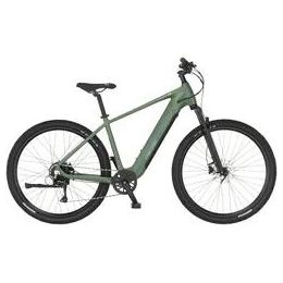 E-Bike Fischer FAHRRAD "MONTIS MOVE 01 474 D" Gr. 48, gr&uuml;n, Elektrofahrr&auml;der, 48cm, 29 Zoll (73,66cm)