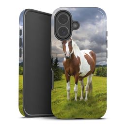 DeinDesign iPhone 17 Handy Panzer Handyh&uuml;lle robuste Outdoor H&uuml;lle Schutzh&uuml;lle gl&auml;nzend Nature Meadow Horse Tough Case