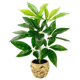 Kunstpflanze I.GE.A. "Schefflera", gr&uuml;n, B:30cm H:48cm L:30cm, Kunstpflanzen, Kunstpflanze, Mit &Uuml;bertopf K&uuml;nstliche Seidenblumen