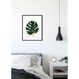 Bild Komar "Monstera Leaf", gr&uuml;n (farbe bild(er): bunt), B:30cm H:40cm, Holz, Papier, Bilder, Bild, Wandbild zur Dekoration - ohne Rahmen