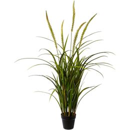Kunstgras Creativ green "Grasbusch Miscanthus im Topf", gr&uuml;n, H:120cm, Obermaterial: 100% Polyethylen, Kunstpflanzen
