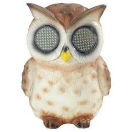 LED Dekofigur Maximex "Modell Blinky Eyes Eule", mehrfarbig, B:9,8cm H:13cm L:9,3cm, Leuchten, solarbetriebene Gartenfigur mit leuchtenden Augen, f&uuml;r Garten & Balkon