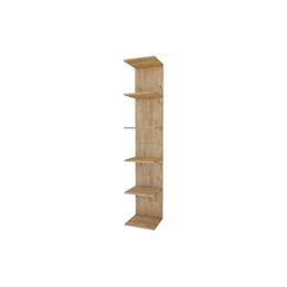 M&ouml;bel Kraft Wandregal holzfarben Ma&szlig;e (cm): B: 35 H: 180 &raquo; M&ouml;bel Kraft