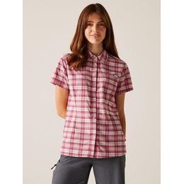 Regatta Funktionshemd "Begarno" in Pink - 78% | Gr&ouml;&szlig;e 36 | Damen-outdoor-tops-shirts