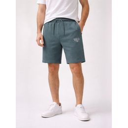 CARS Shorts "Graze" in Grau - 40% | Gr&ouml;&szlig;e L | Herren-plussize