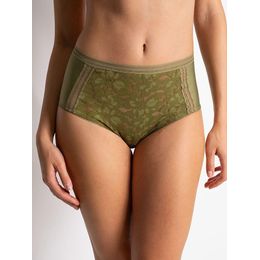 Passionata Taillenslip "Gardenia" in Oliv - 61% | Gr&ouml;&szlig;e 36 | Damen-unterteile