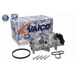 VAICO Wasserpumpe + Zahnriemensatz v1050114 f&uuml;r VW SEAT