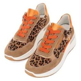 Keilsneaker Ara "GARDA", Damen, Gr. 7 (41), orange (beige, leo, orange), Glattleder, Veloursleder, kontrastfarbene Details, Schuhe, Plateausneaker, Keilsneaker mit Wechselfu&szlig;bett in H-Weite