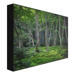 Bilderwelten Akustik-Wechselbild Japanischer Wald