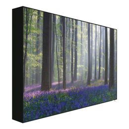 Bilderwelten Akustik-Wechselbild Fr&uuml;hlingstag im Wald
