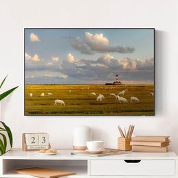 Akustik-Wechselbild Nordsee Leuchtturm mit Schafsherde