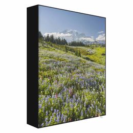 Bilderwelten Akustik-Wechselbild Bergwiese mit roten Blumen vor Mt. Rainier