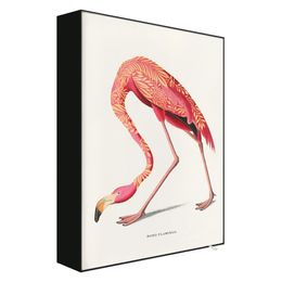 Bilderwelten Akustik-Wechselbild Boho Vogel - Flamingo