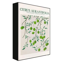 Bilderwelten Akustik-Wechselbild Citrus Aurantifolia