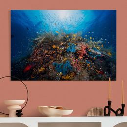 Akustikbild Lagune Unterwasser