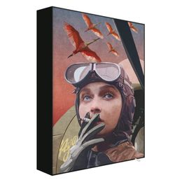 Bilderwelten Akustik-Wechselbild Emel Tunaboylu - Vintage Pilotin