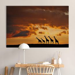 Bilderwelten Akustikbild Natur orange Motiv Schallschutzbild - F&uuml;nf Giraffen - africa Wohnzimmer Schlafzimmer