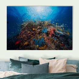 Bilderwelten Akustikbild Strand blau Motiv Schallschutzbild - Lagune Unterwasser - Unterwasser Wohnzimmer Schlafzimmer