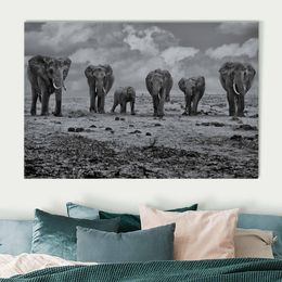 Bilderwelten Akustikbild Natur schwarz weiss Motiv Schallschutzbild - Gro&szlig;familie - africa Wohnzimmer Schlafzimmer