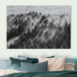 Bilderwelten Akustikbild Wald schwarz weiss Motiv Schallschutzbild - Lichtstrahlen im Nadelwald - B&auml;ume Wohnzimmer Schlafzimmer
