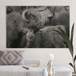 Bilderwelten Akustikbild Tiere braun modern Schallschutzbild - Hochlandrind Familie - Wandbild Wohnzimmer Schlafzimmer