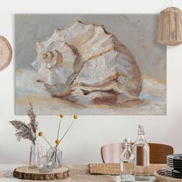 Bilderwelten Akustikbild originell beige maritim Schallschutzbild - Muschel-Studie II - Wandbild Wohnzimmer Schlafzimmer