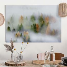Bilderwelten Akustikbild Wald grau Motiv Schallschutzbild - Nebelwald im Herbst - B&auml;ume Wohnzimmer Schlafzimmer