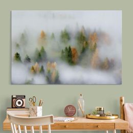Akustikbild Nebelwald im Herbst