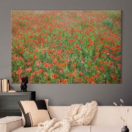 Akustikbild Mohnblumenfeld