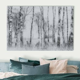 Bilderwelten Akustikbild Wald schwarz weiss Motiv Schallschutzbild - Mystischer Birkenwald Schwarz-Wei&szlig; - B&auml;ume Wohnzimmer Schlafzimmer