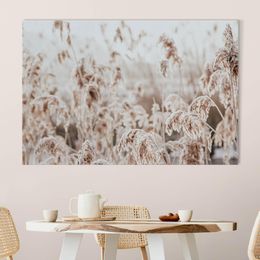 Bilderwelten Akustikbild beige Tropisch Schallschutzbild - Meer von sonnigem Schilfgras - Gr&auml;ser Wohnzimmer Schlafzimmer