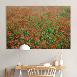 Bilderwelten Akustikbild Blumen rot Motiv Schallschutzbild - Mohnblumenfeld - Mohn Wohnzimmer Schlafzimmer