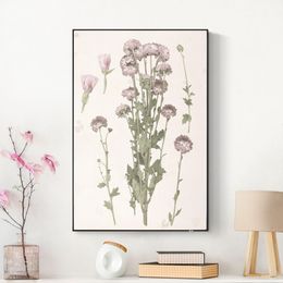 Akustik-Wechselbild Herbarium in rosa I