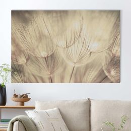 Bilderwelten Akustikbild Blumen beige Motiv Schallschutzbild - Pusteblumen Nahaufnahme in wohnlicher Sepia T&ouml;nung - Pusteblume Wohnzimmer Schlafzimmer