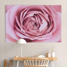 Bilderwelten Akustikbild rosa Landhaus Schallschutzbild - Rosa Rosenbl&uuml;te - Rose Wohnzimmer Schlafzimmer
