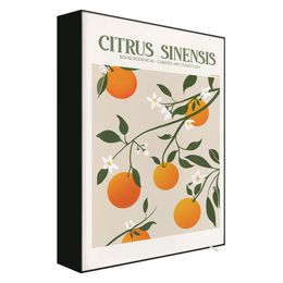 Bilderwelten Akustik-Wechselbild Citrus Sinensis