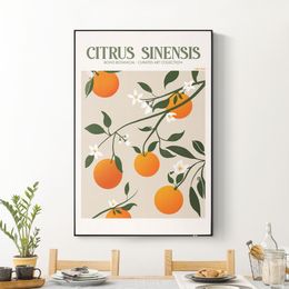 Akustik-Wechselbild Citrus Sinensis
