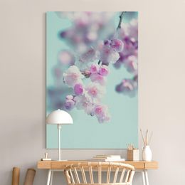 Bilderwelten Akustikbild Blumen rosa Motiv Schallschutzbild - Farbenfrohe Kirschbl&uuml;ten - Kirschbl&uuml;te Wohnzimmer Schlafzimmer