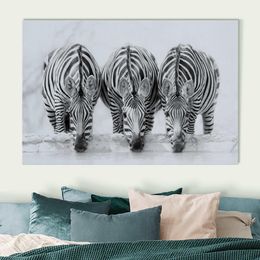 Bilderwelten Akustikbild Tiere schwarz weiss Motiv Schallschutzbild - Zebra Trio schwarz-wei&szlig; - Zebra Wohnzimmer Schlafzimmer