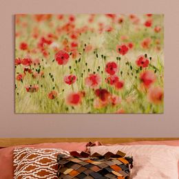 Akustikbild Summer Poppies
