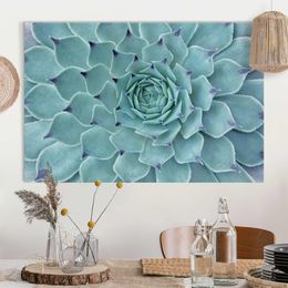 Bilderwelten Akustikbild t&uuml;rkis Tropisch Schallschutzbild - Kaktus Agave - Pflanzen Wohnzimmer Schlafzimmer