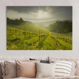 Bilderwelten Akustikbild Wald gr&uuml;n Motiv Schallschutzbild - Sonnenstrahlen Weinberg - Himmel Wohnzimmer Schlafzimmer